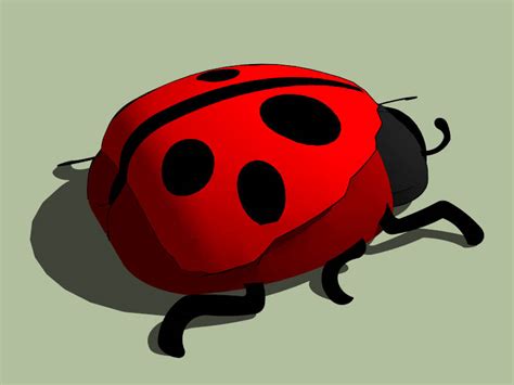 Ladybug Beetle Sketchup 3d Model Skp File Download Sketchupbox
