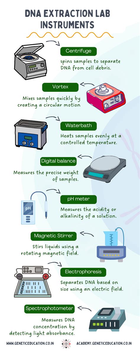 Best 13 Advanced Guide For The Dna Extraction Lab Setup Artofit