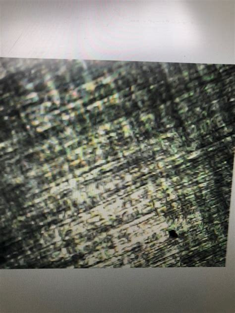 More Photographic Etching LightBurn Software Questions LightBurn Software Forum