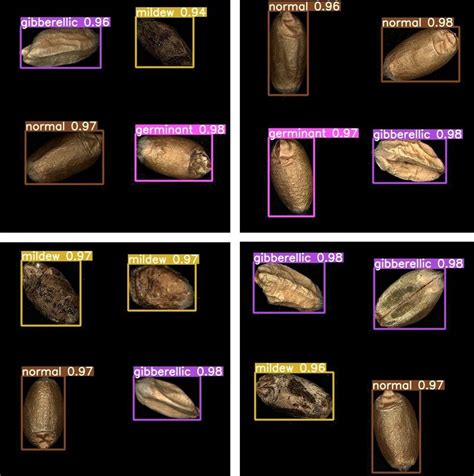 Detection And Classification Results Of Different Types Of Wheat Grains