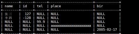 掌握 mysql 的基石：全面解读数据类型及其影响 mysql 中 int、bigint 和 largint csdn博客