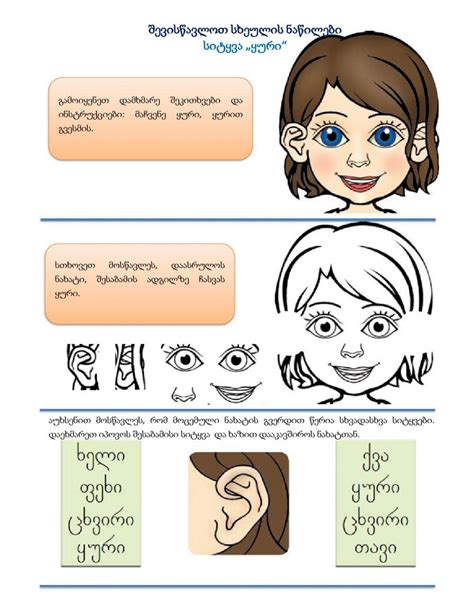 Შევისწავლოთ სხეულის ნაწილები სიტყვა ყური Worksheet Live Worksheets