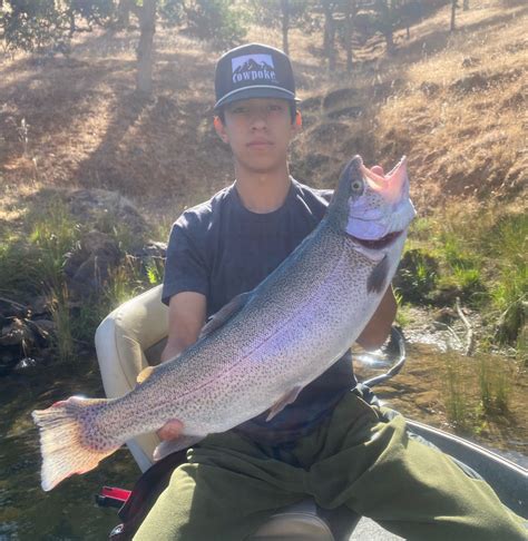 Lake McSwain Fish Reports Map