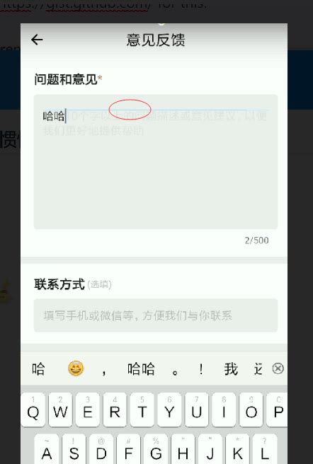 TextFormField Typed Some Chinese It Will Flash A Blue Line On Android