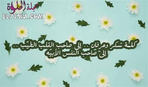 كلمات شكر وثناء لشخص قدم العطاء 2023 أجمل عبارات شكر وامتنان In 2023
