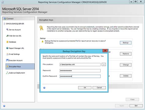 Crm Viking Backup And Restore Strategies For Crm 2016