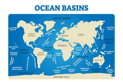 Ocean Basin Vector Illustration Labeled Earth Topographic Water Map