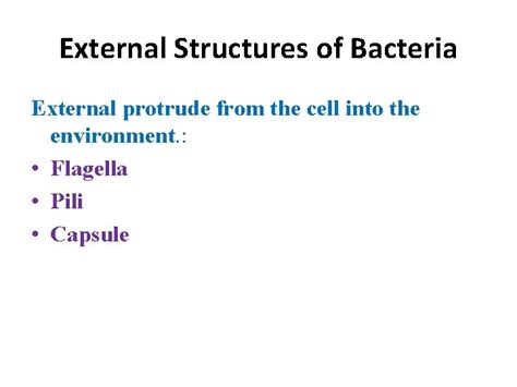 Bacterial Structure Function Bacterial Genetics Prof Hanan Habib