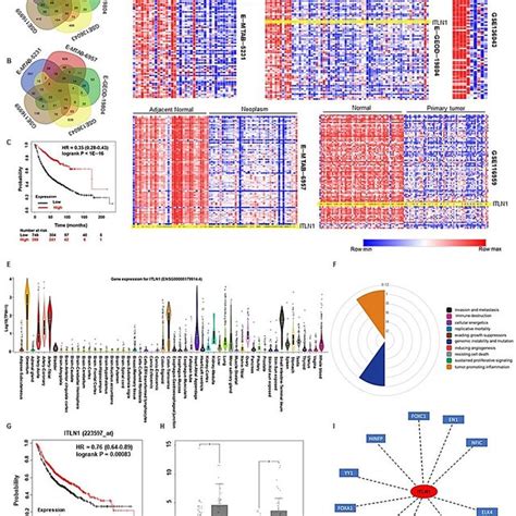 Overlapping Differentially Expressed Genes DEGs A Venn Diagram