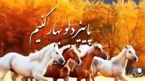 آهنگ شاد شاد معین شاد باشید فیلو