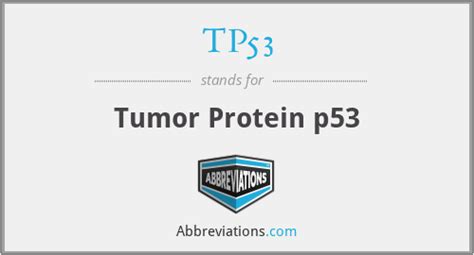 What Does Tp53 Stand For