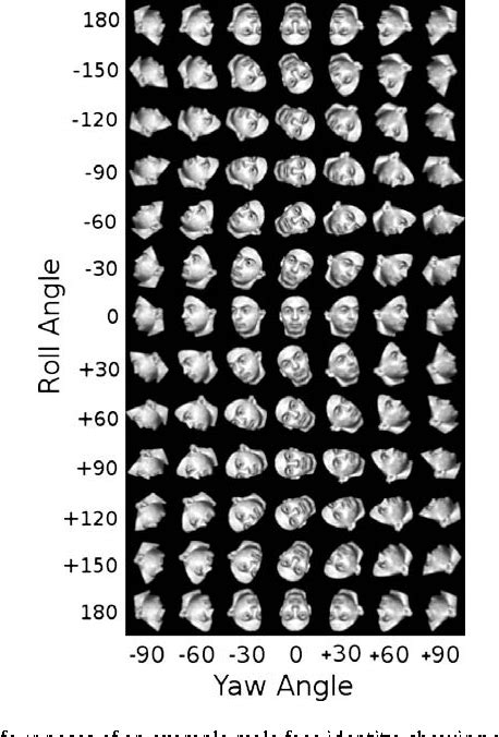 Figure 1 From A Combinatorial Study Of Pose Effects In Unfamiliar Face