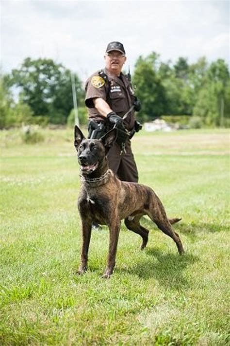 Police K 9 Helps Locate Suicidal Woman Hiding In Woods
