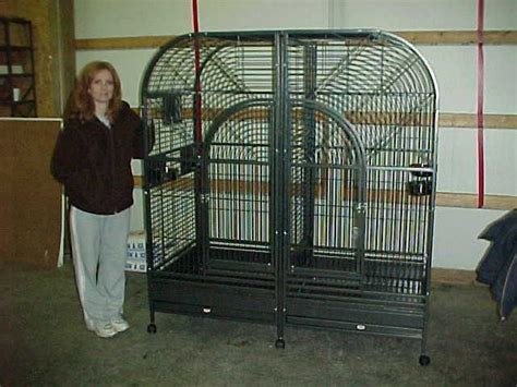 Largecages C And B Birds