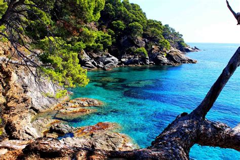 Tour In Cassis South Of France 4 Hours Provence Amazing Tours
