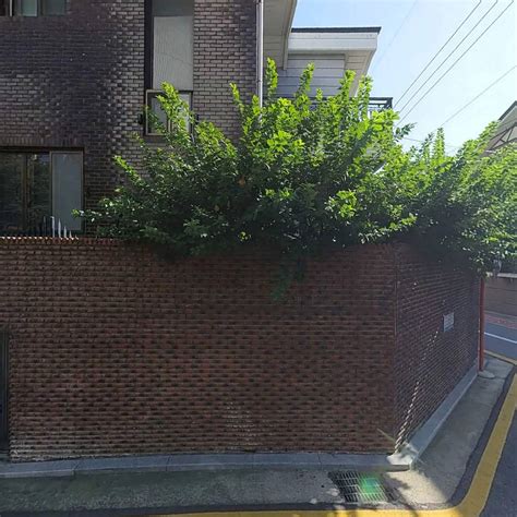 주식회사쇼플레이엔터테인먼트