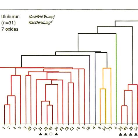 dendrogram showing the differences in the chemical composition of 31