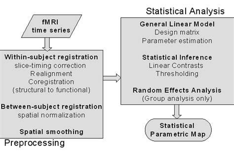 6 Key Stages In FMRI Data Analysis Download Scientific Diagram
