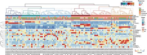 A Step Towards Understanding The Tumor Immune Microenvironments Nature Portfolio Cancer Community