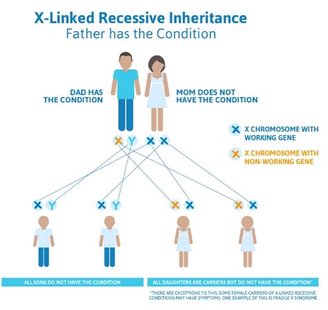 Why Women Need To Know If They Carry The Gene Variant For Xlhed Nfed