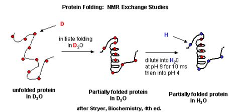 B5 Analysis Of Protein Tertiary Structure Biology Libretexts
