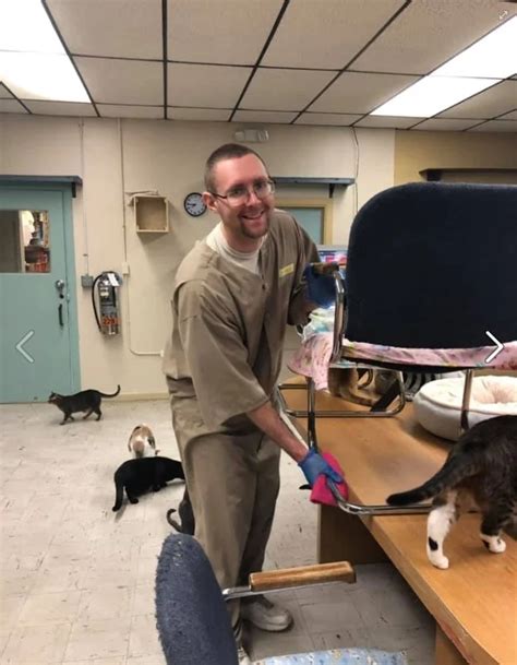 고양이와 함께 사는 미국의 교도소 인스티즈instiz 이슈 카테고리