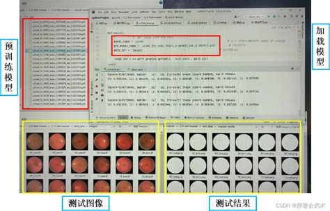 Pytorch U Netunet U Net