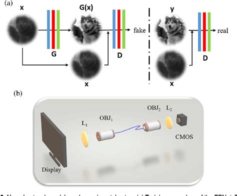 Figure 3 From Feature Enhanced Fiber Bundle Imaging Based On Light Field Acquisition Semantic