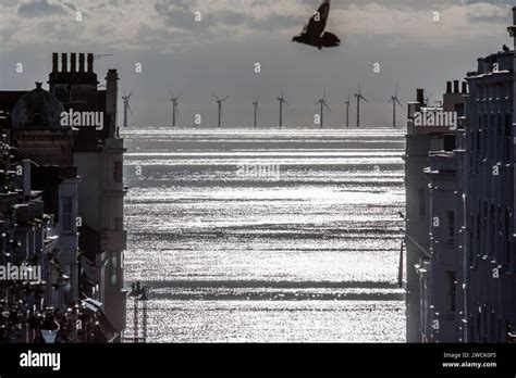 Brighton 16 Gennaio 2024 Il Parco Eolico Di Raviera Visto Dalle