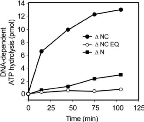 Modulation Of Dna Dependent Atpase Activity By The Hino80 Ctd