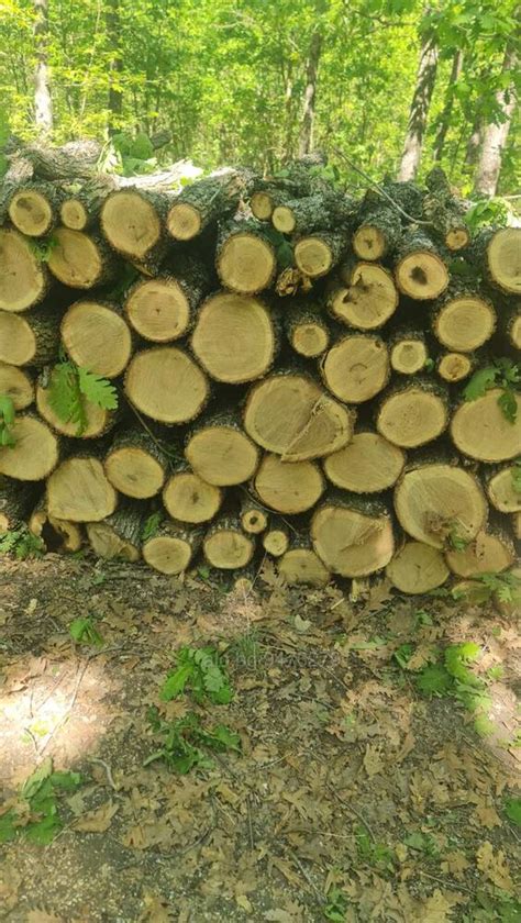 Дърва за огрев Дърва за огрев пелети дървени въглища Бургас Меше