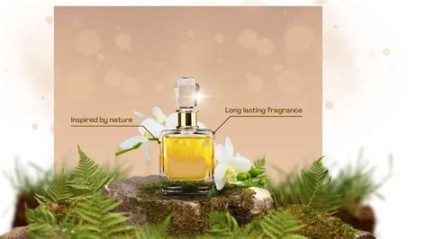 Fragrance Tester Vs Original Fragrance The Ultimate Showdown Luxury