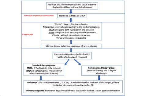 Flowchart Overview Of The Trial Design Iv Intravenous Mrsa Download Scientific Diagram