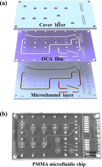 A Schematic Design Of Microfluidic Chip B Photo Of The Pmma Download Scientific Diagram