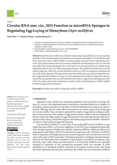 Pdf Circular Rna Amecirc2015 Function As Microrna Sponges In