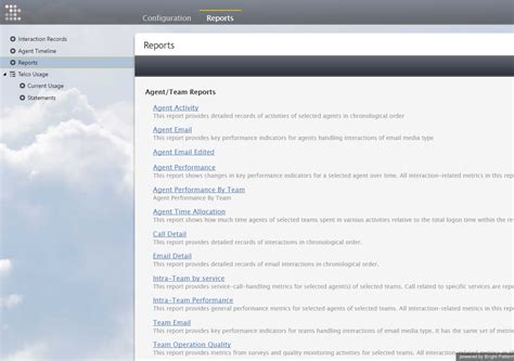318reporting Reference Guidereportgeneration Bright Pattern