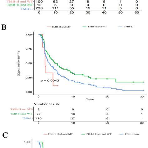 Survival Analysis Of Nsclc Comparing Patients With Pbrm1 Mutations And Download Scientific