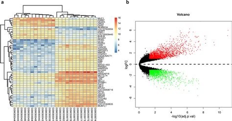 identification of differentially expressed genes in the gse14407 download scientific diagram