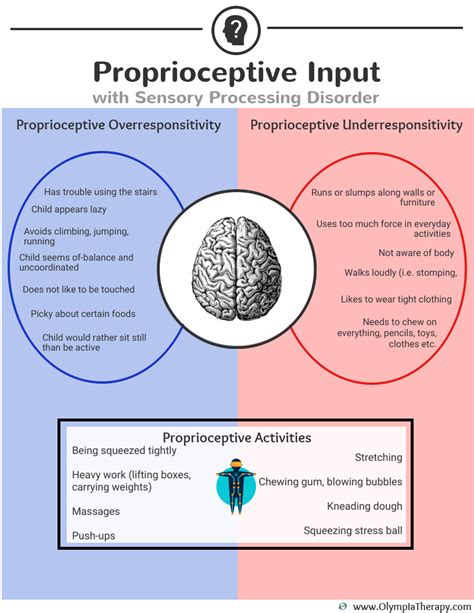 Proprioceptive Input In Sensory Processing Disorder Terapia Sensorial