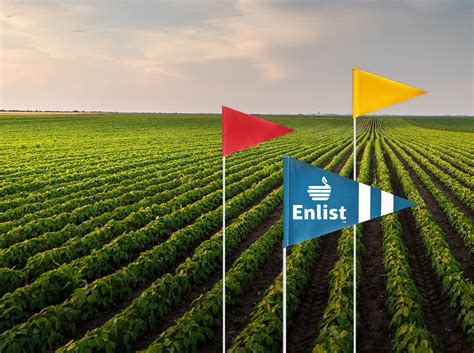 Agronomy Tools And More Country Enterprises Inc