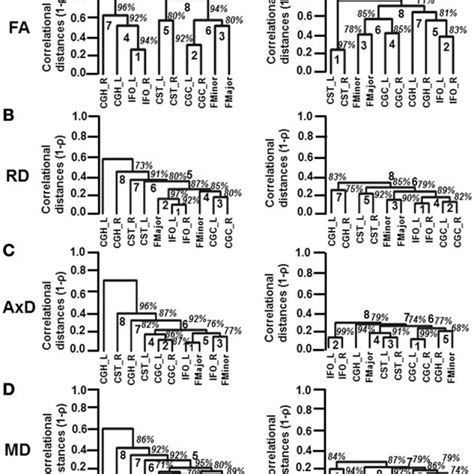 Dendrograms Depicting The Hierarchical Clustering Pattern Obtained From Download Scientific