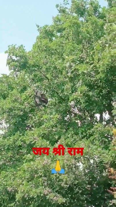 🙏जय श्री राम जय हनुमान🙏 चैनल को लाइक एंड सब्सक्राइब कर भी दिया करो भाई