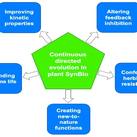 Potential Applications Of Continuous Directed Evolution In Plant Synbio Download Scientific