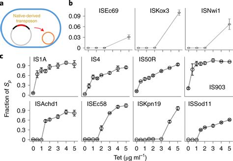 Antibiotic Selection Promotes Chromosome To Plasmid Transposition