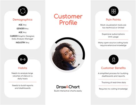 Software Customer Profile Template Visme