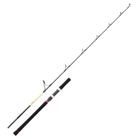 Canne Spinning Mer Daiwa Grandwave Shore Jig Leurre de la pêche