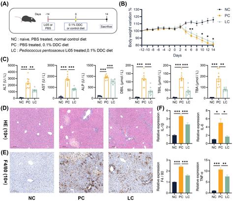 Figure 1 From Probiotic Pediococcus Pentosaceus Li05 Improves