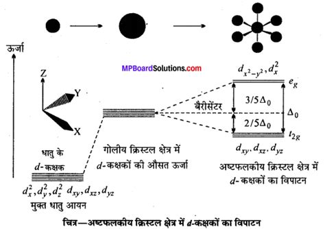 MP Board Class th Chemistry Solutions Chapter उपसहसयजन यगक MP Board Solutions