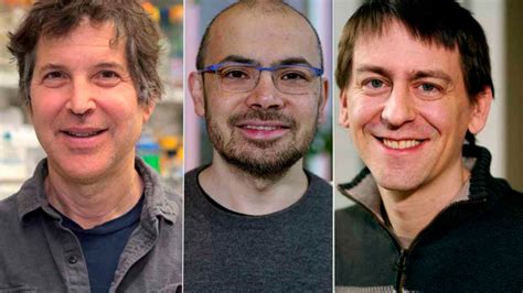 Cic Biogune Researchers Describe The Presence Of A Tick Molecular Receptor Able To Respond To