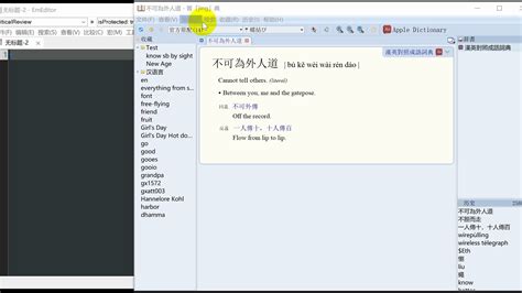 GoldenDict 飞桨 PaddleOCR 划词演示 AuTopTr Top AuTopTr Top 哔哩哔哩视频